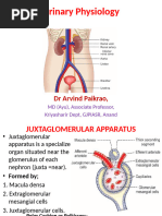 Functions and Composition of Succus Entericus | PDF | Digestive System ...