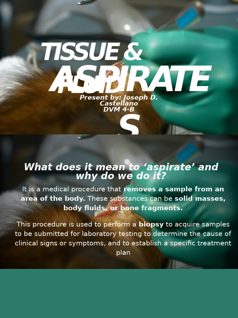 Tissue and Fluid Aspiration | PDF | Lymph Node | Lymphatic System