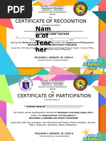 NON-ACADEMIC DISTINCTIONS RECOGNITION | PDF