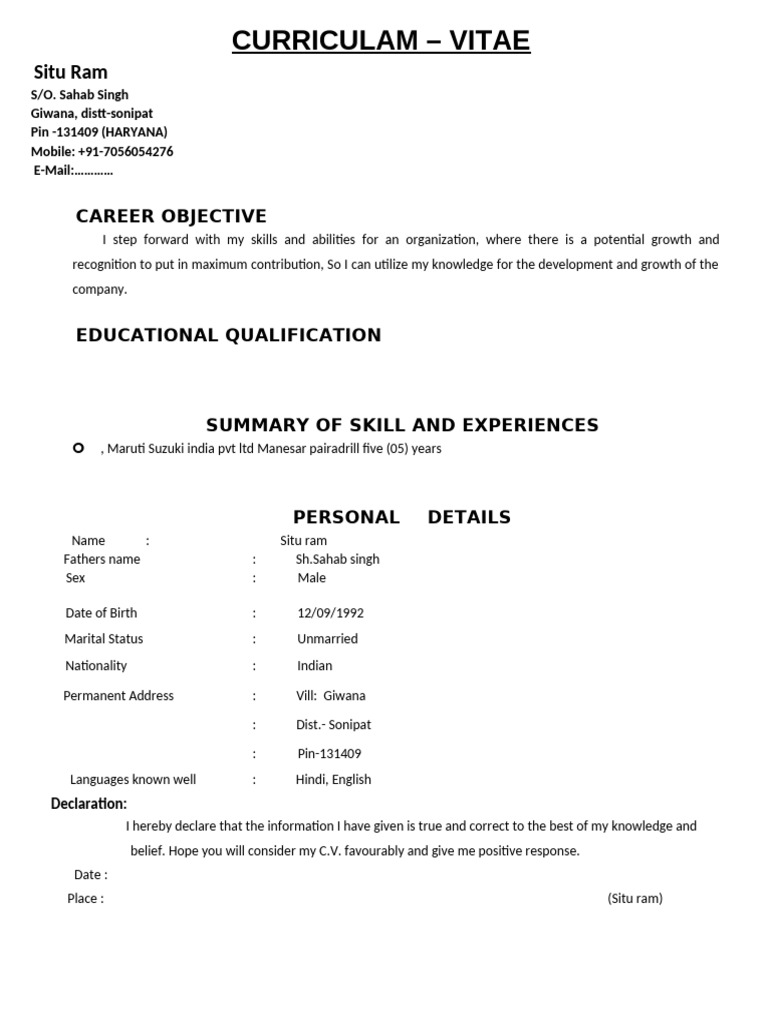 Rahul New CV | PDF