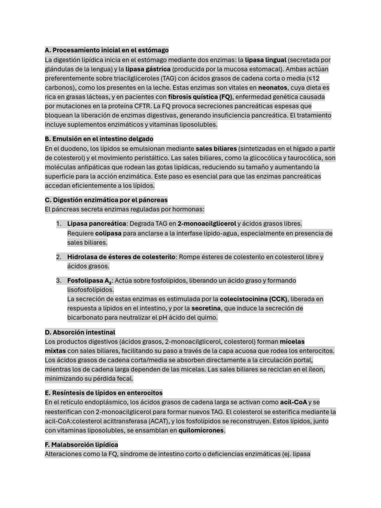 Resume N | PDF | Digestión | Lípido