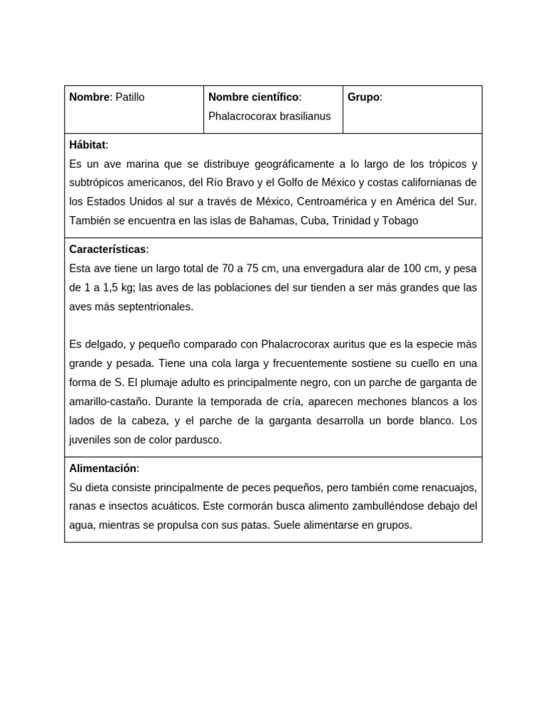 Ficha Técnica Patillo | PDF