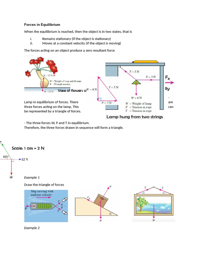 Understanding Forces in Equilibrium | PDF | Force | Tension (Physics)