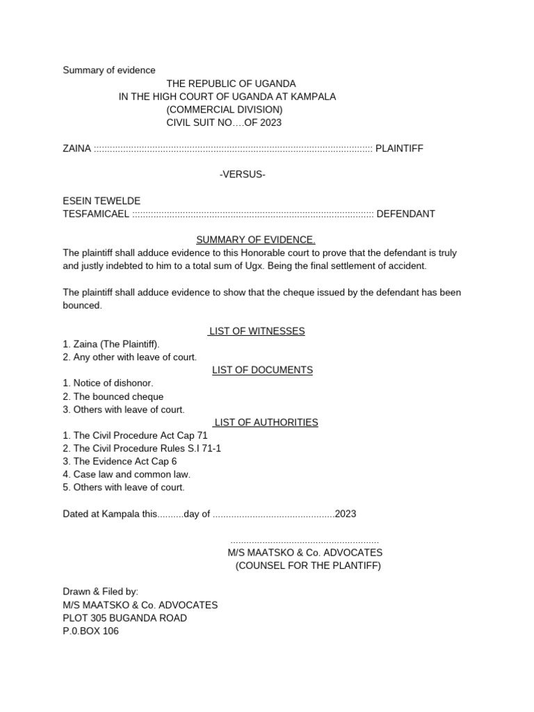 Zaina's Summary of Evidence | PDF