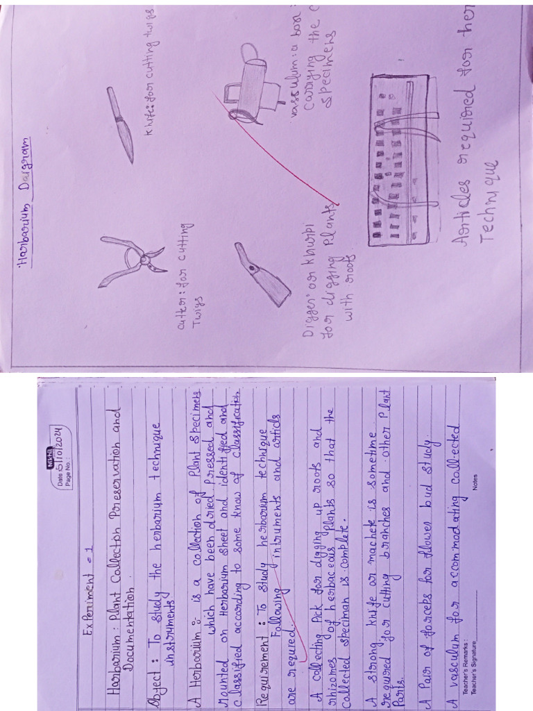 Botany Prectical File | PDF