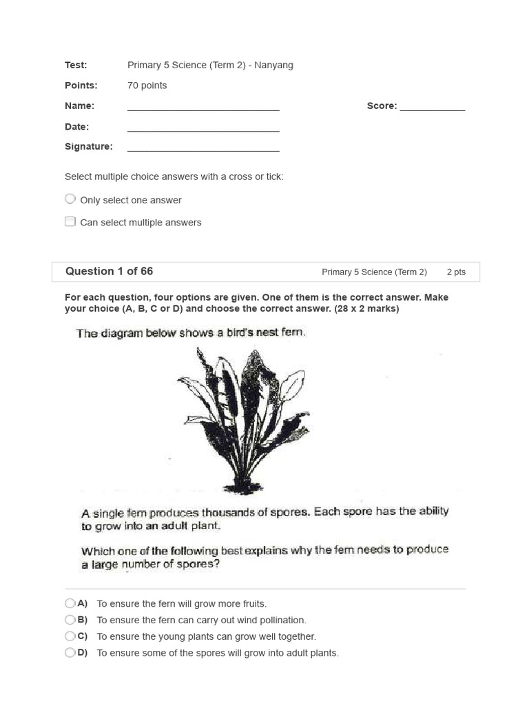 Primary 5 Science Term 2 Test Questions | PDF | Pollination | Germination