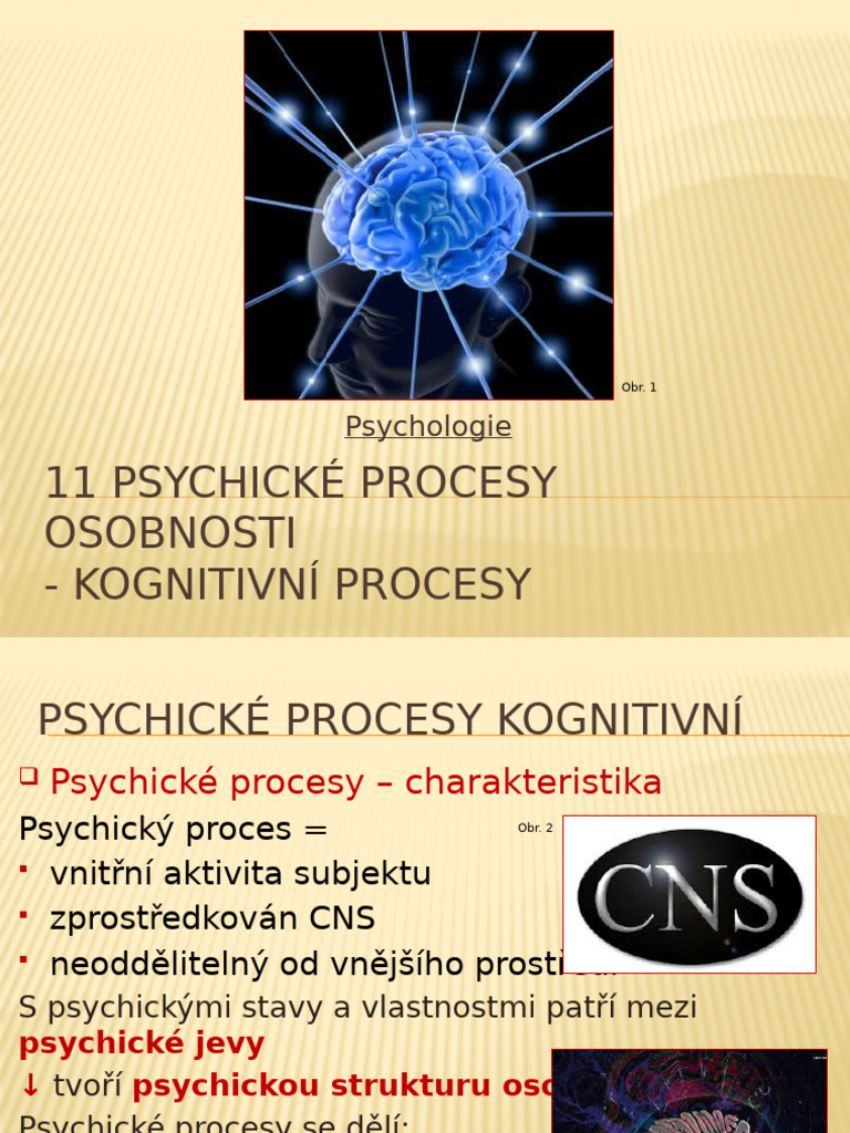 01 Procesy Kognitivní | PDF