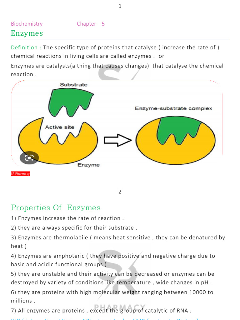 Biochemistry Chap. 6 - Enzyme-1 | PDF | Enzyme | Enzyme Inhibitor