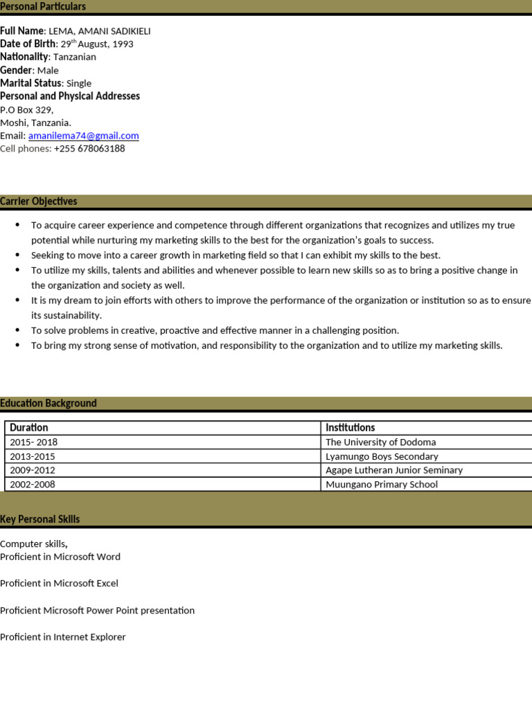 Amani Lema's CV Overview | PDF