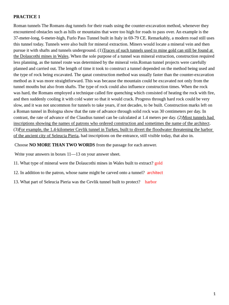 Key-Reading Short-Answer Question | PDF | Chimpanzee | Tunnel