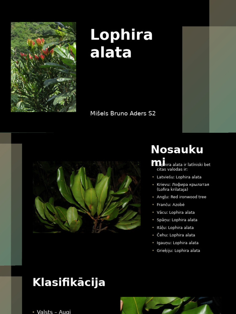 Laphira Alata (Mišels Bruno Aders S2) | PDF