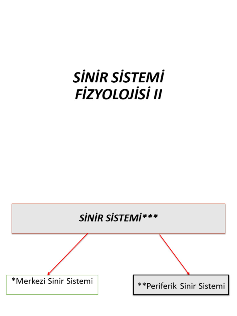 Periferik Sinir Sistemi | PDF