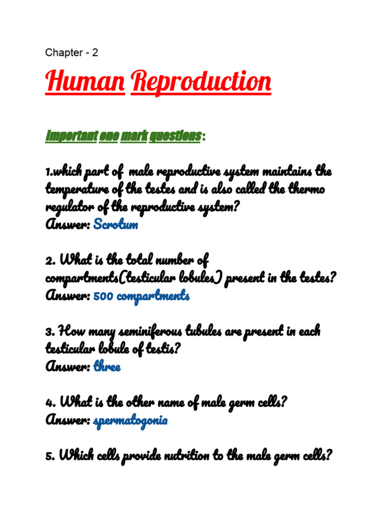 Key Questions on Human Reproduction | PDF | Menstrual Cycle | Testicle