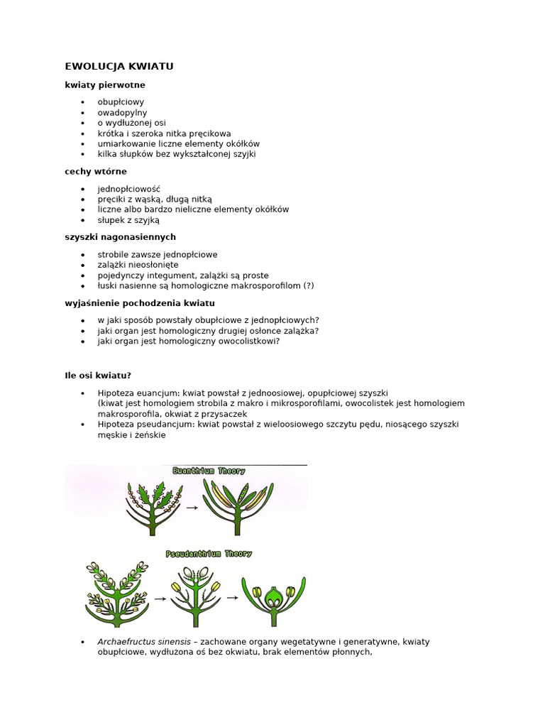 Ewolucja Kwiatu | PDF