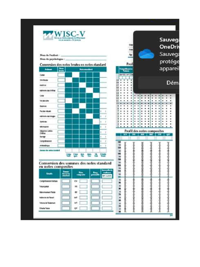 Wisc 5 Protocole | PDF