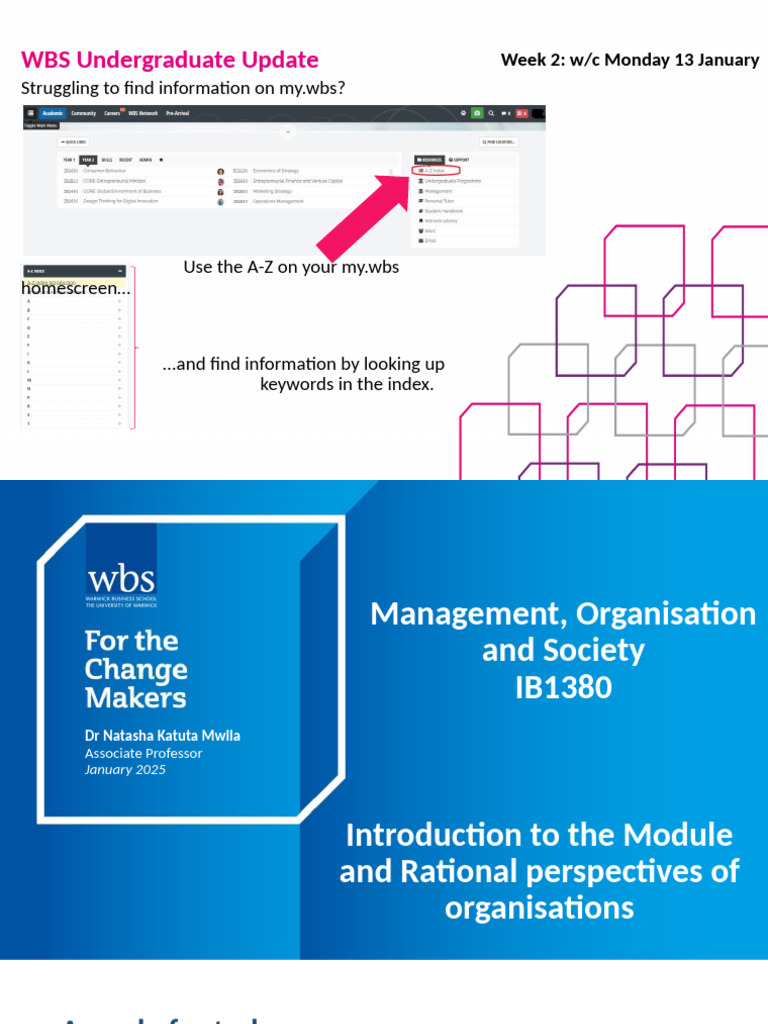 WBS Module: Rational Perspectives Overview | PDF | Division Of Labour | Lean Manufacturing