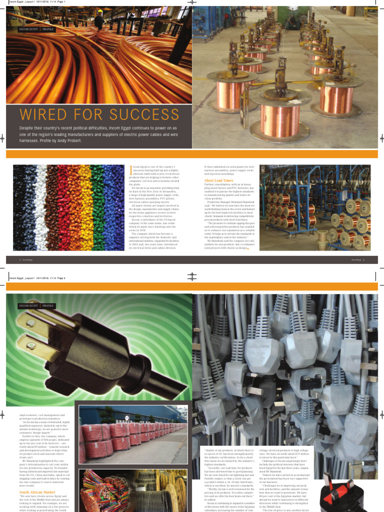 Incom Egypt - High Resolution | PDF | Electricity | Economies