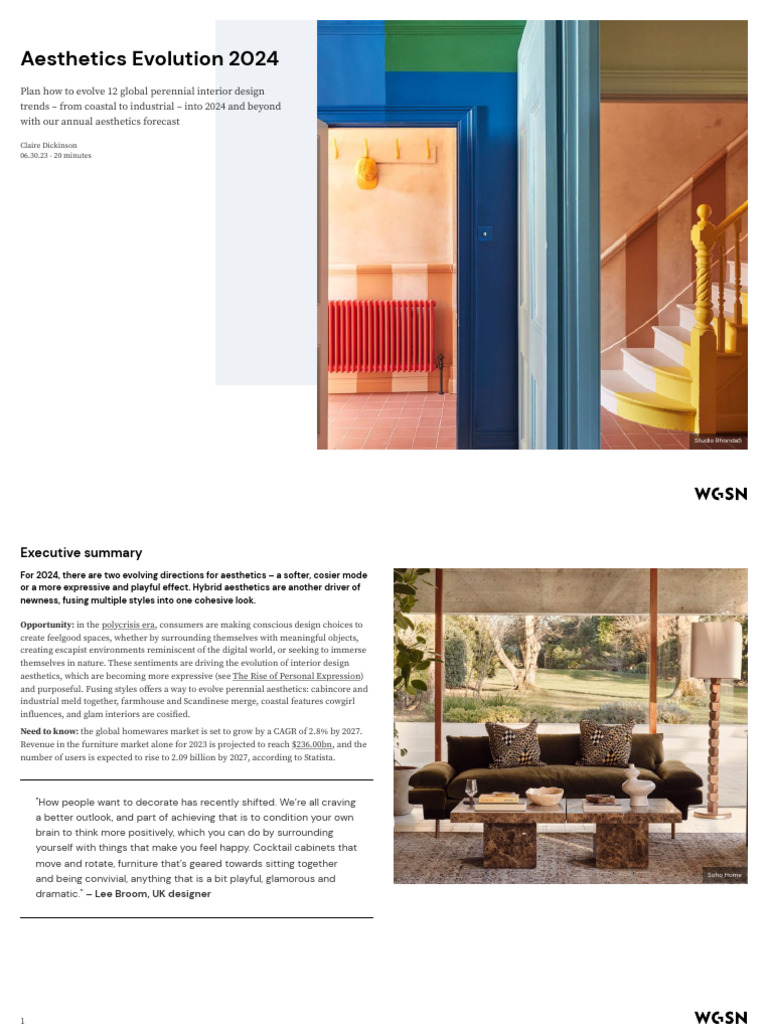 Aesthetics Evolution 2024 en | PDF