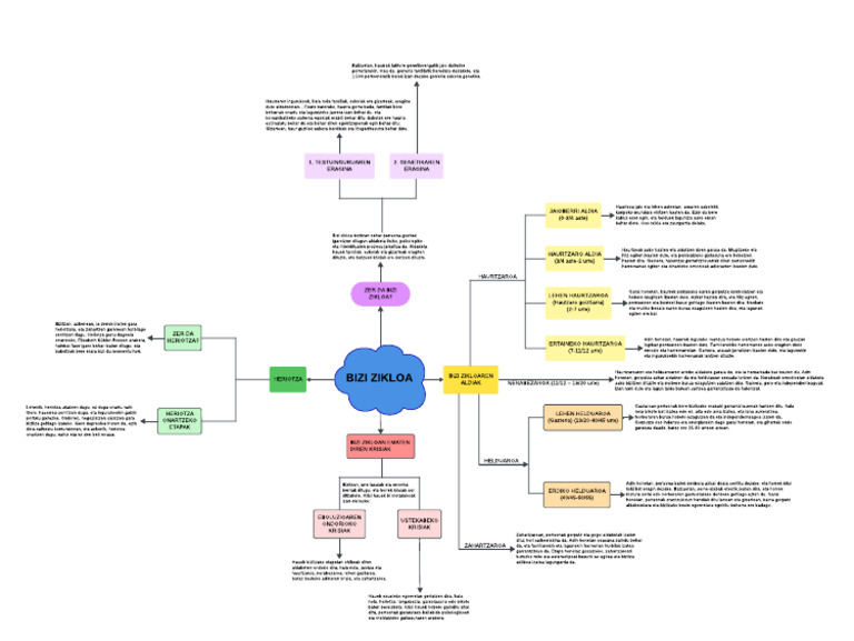 Mapa Kontzeptuala | PDF