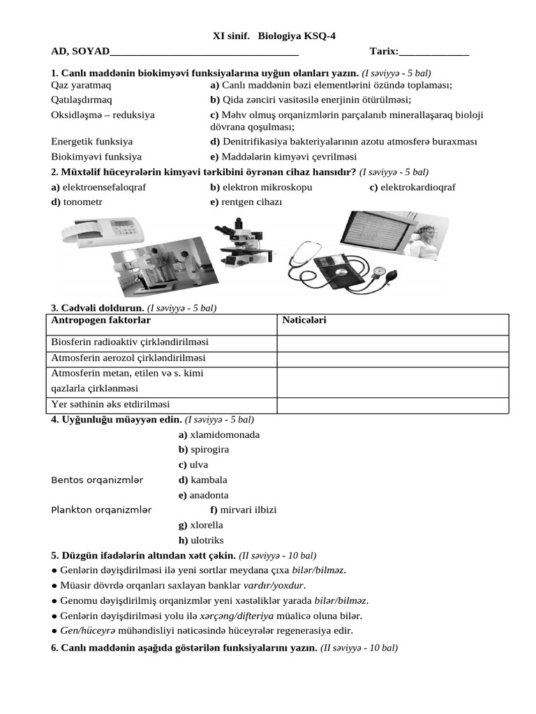 Bio XI Sinif Ksq4 | PDF