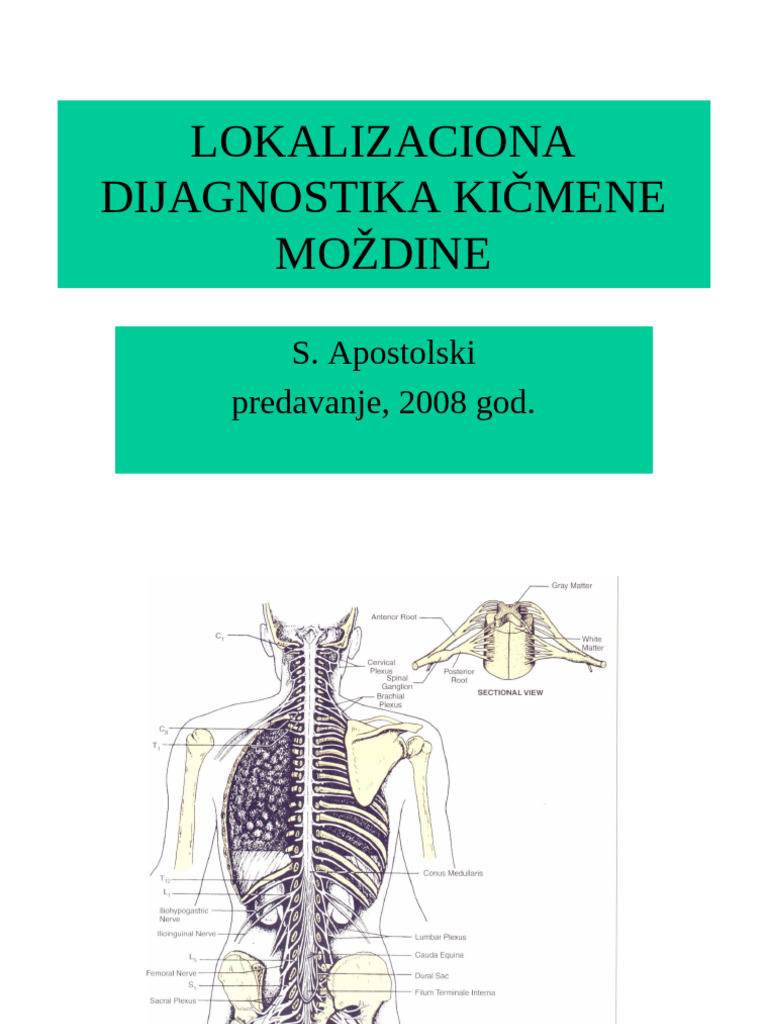 Kicmena mozdina2008-pred (1) | PDF