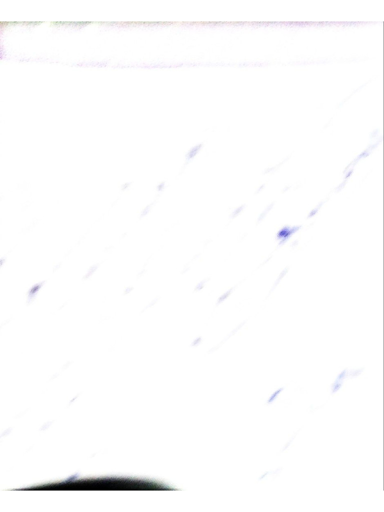 PDFReader 20250325 1453 | PDF