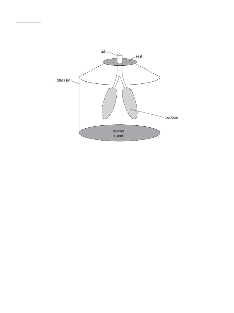 Physics 1P unit 5 | PDF | Gases | Pressure