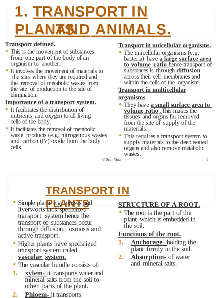 1. Transport in plants and animals ppt | PDF | Circulatory System | Heart
