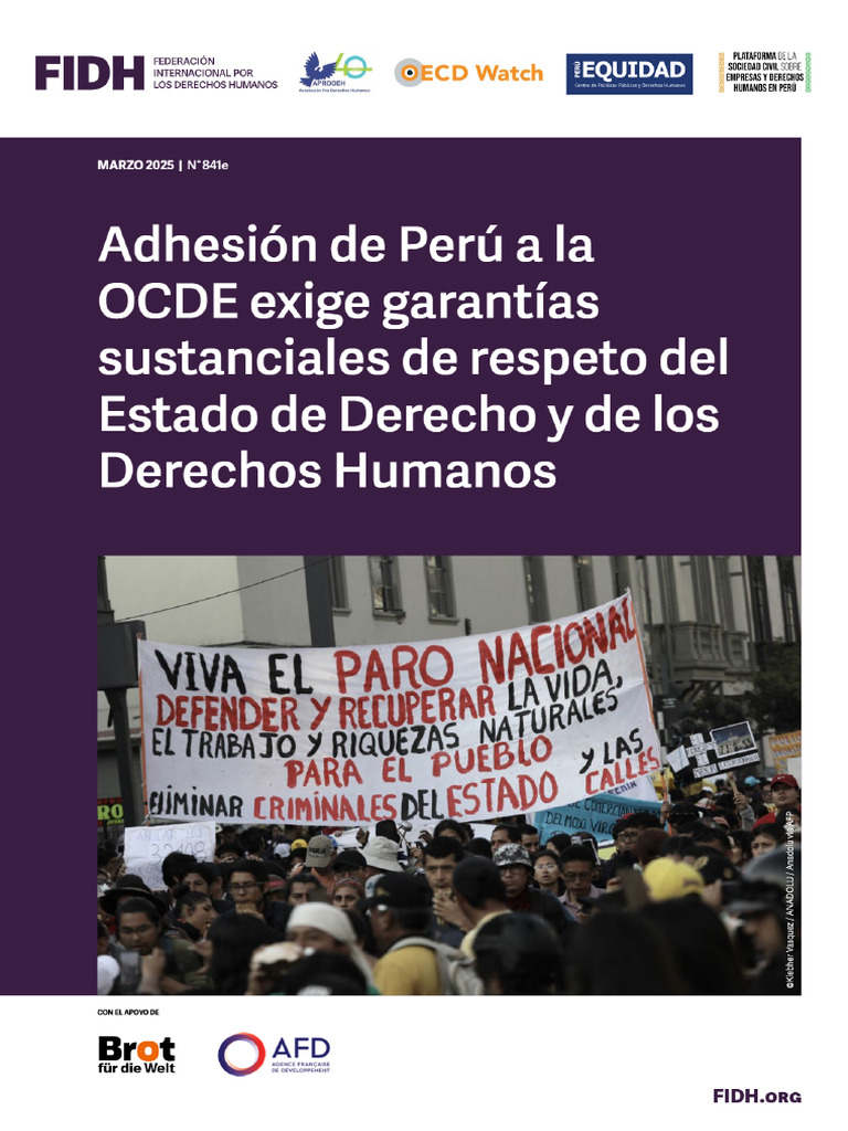 Adhesión de Perú A La OCDE Exige Garantías Sustanciales de Respeto Del ...