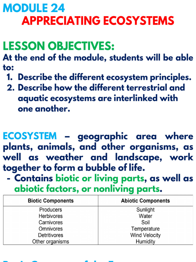 COR 007 Module 24 | PDF