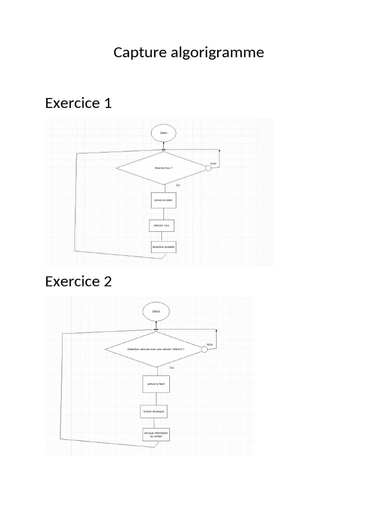 Capture Algorigramme Sasha Et Ghjiasé | PDF