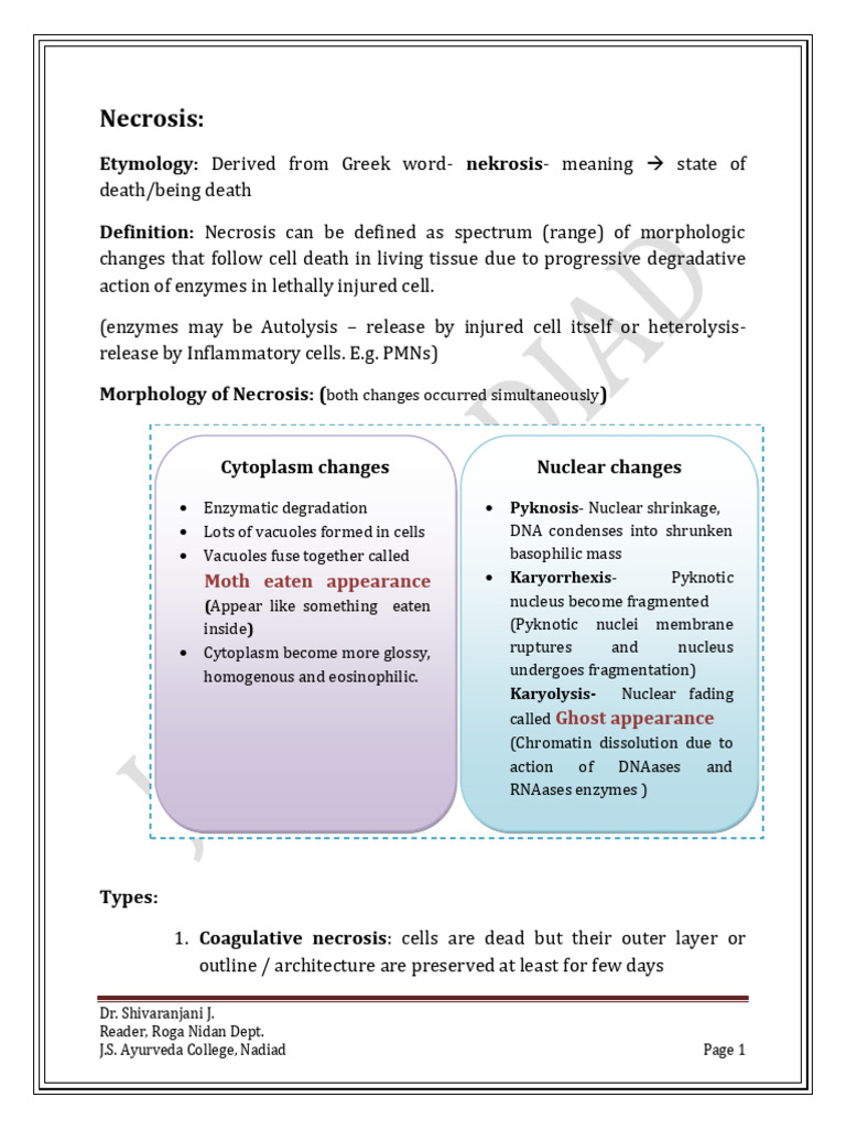 Necrosis Final | PDF | Medical Specialties | Biology