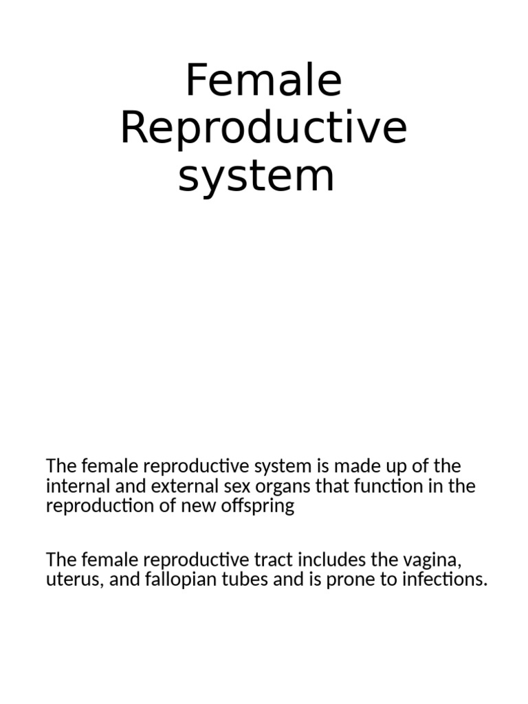 Female Reprod System-WPS Office Copy | PDF | Vagina | Labia