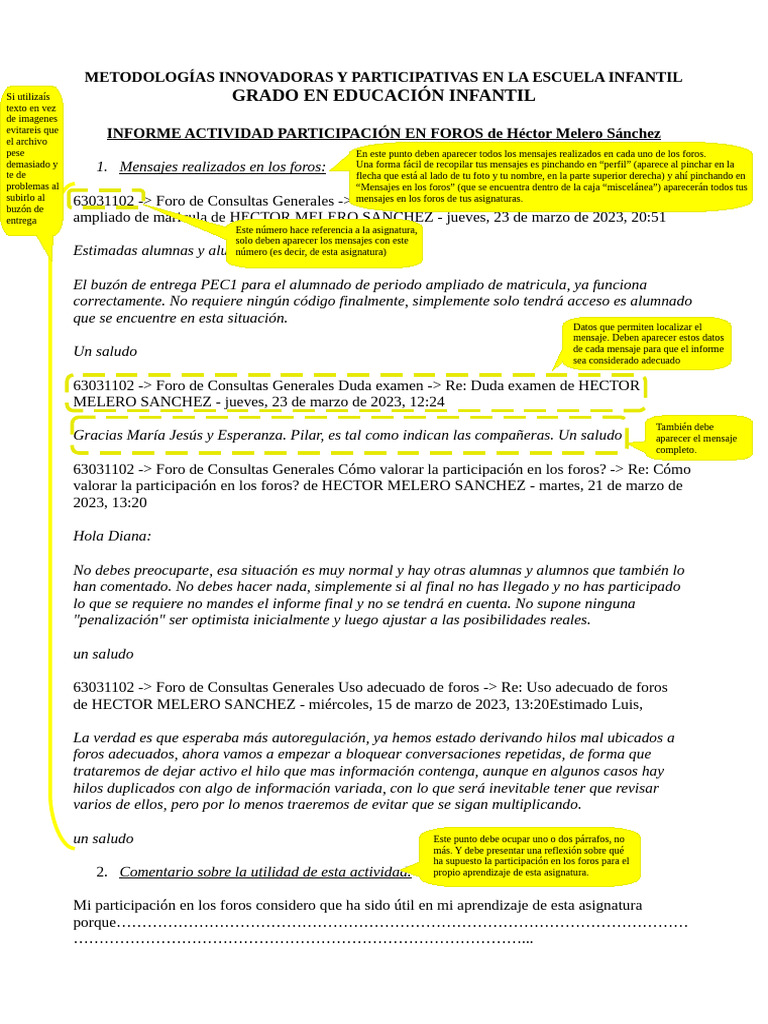 Modelo Informe | PDF