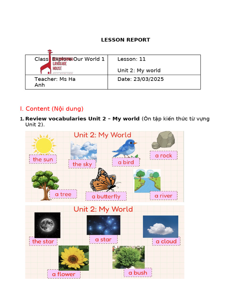 Lesson Report Level 1 - Lesson 11 | PDF