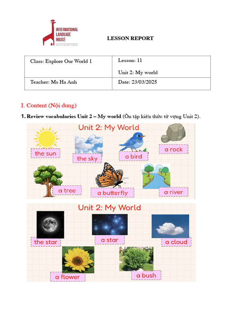 Lesson Report Level 1 - Lesson 11 | PDF