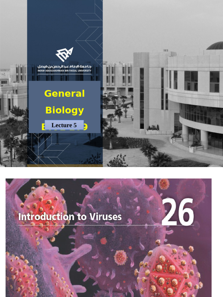 Lecture 6 Viruses and Prokaryotes New | PDF | Virus | Bacteriophage