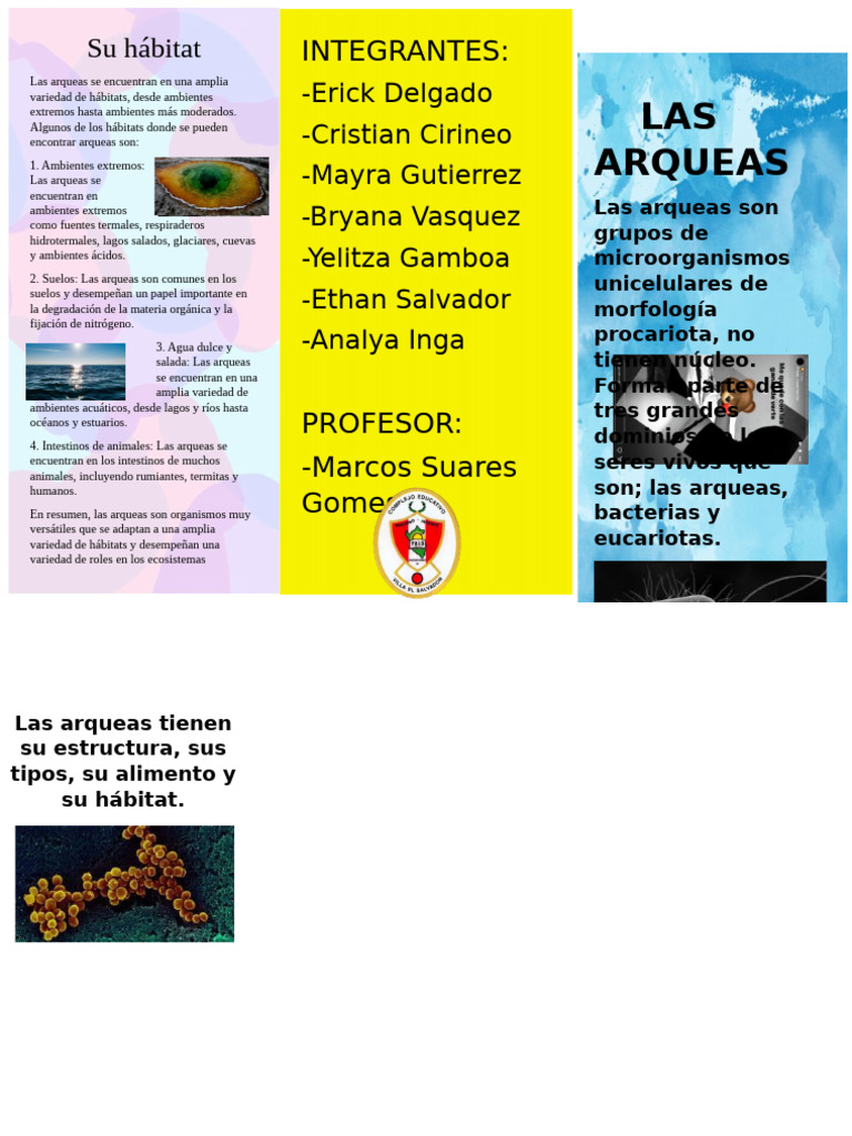 Triptico parte 1 | PDF