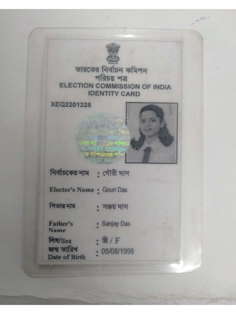 Voter ID | PDF