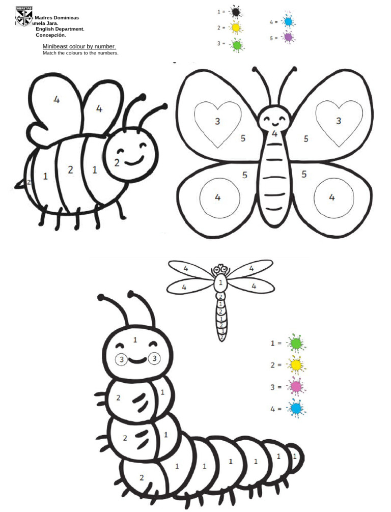 Copia de minibeast colors insects 1st grade a-b | PDF