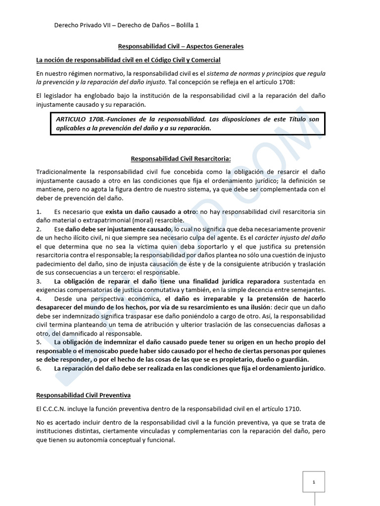 Resumen Manual de Daños Pizarro y Vallespinos Tomo 1 y 2 | PDF | Daños y perjuicios | Bienes (Ley)