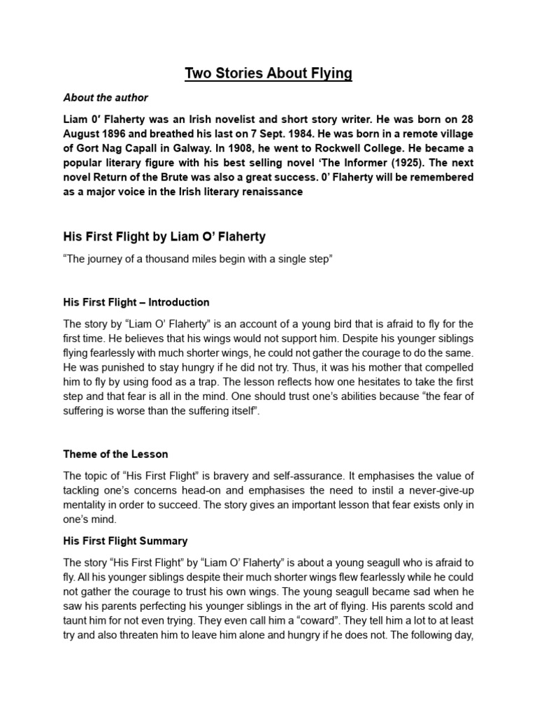 Two Stories About Flying | PDF