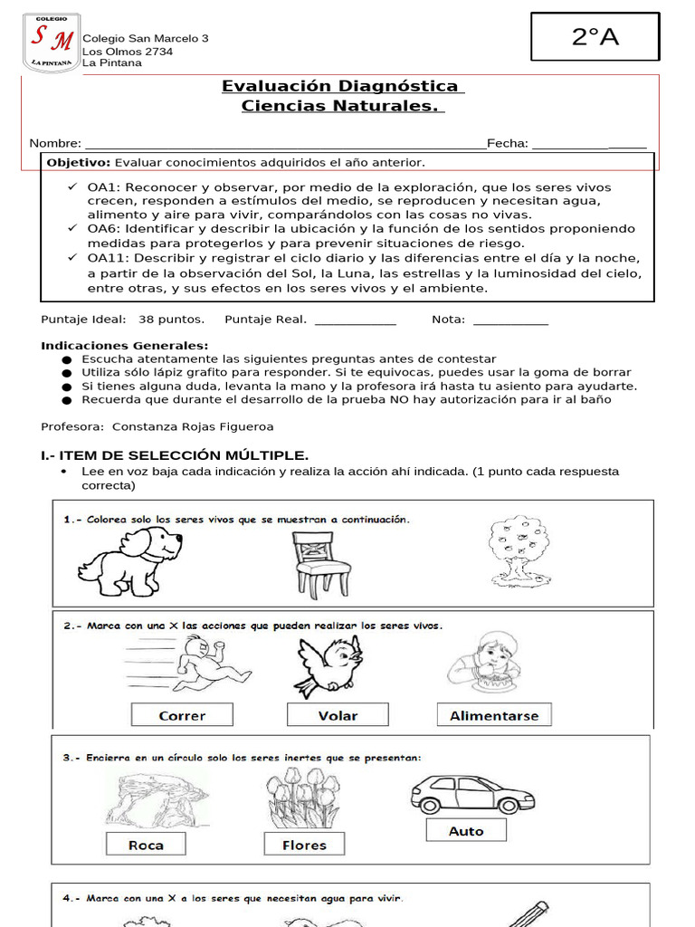Evaluación Diagnóstica Ciencias Naturales | PDF