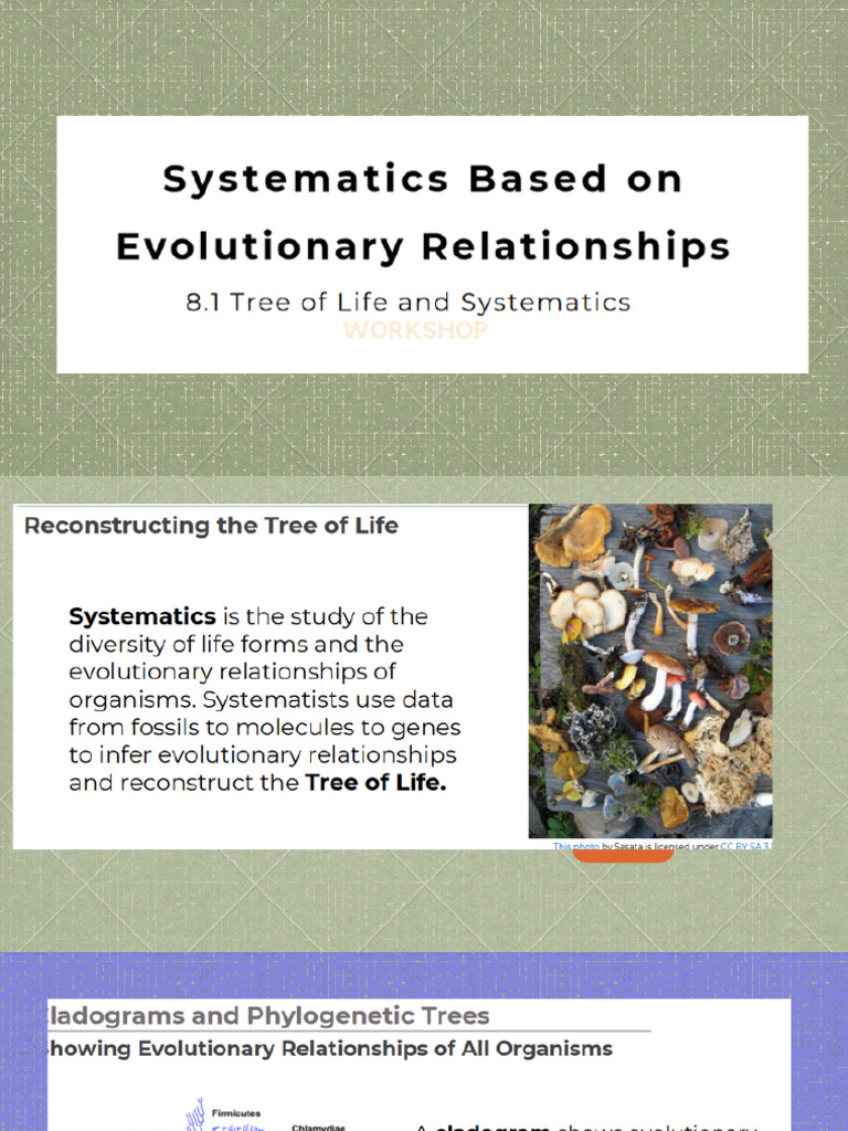 Systematics | PDF