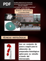 Colorantes Ácidos y Básicos | PDF | Técnicas de laboratorio. | Ciencias ...