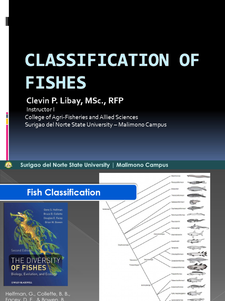 Classification of Fishes | PDF | Senses | Tooth