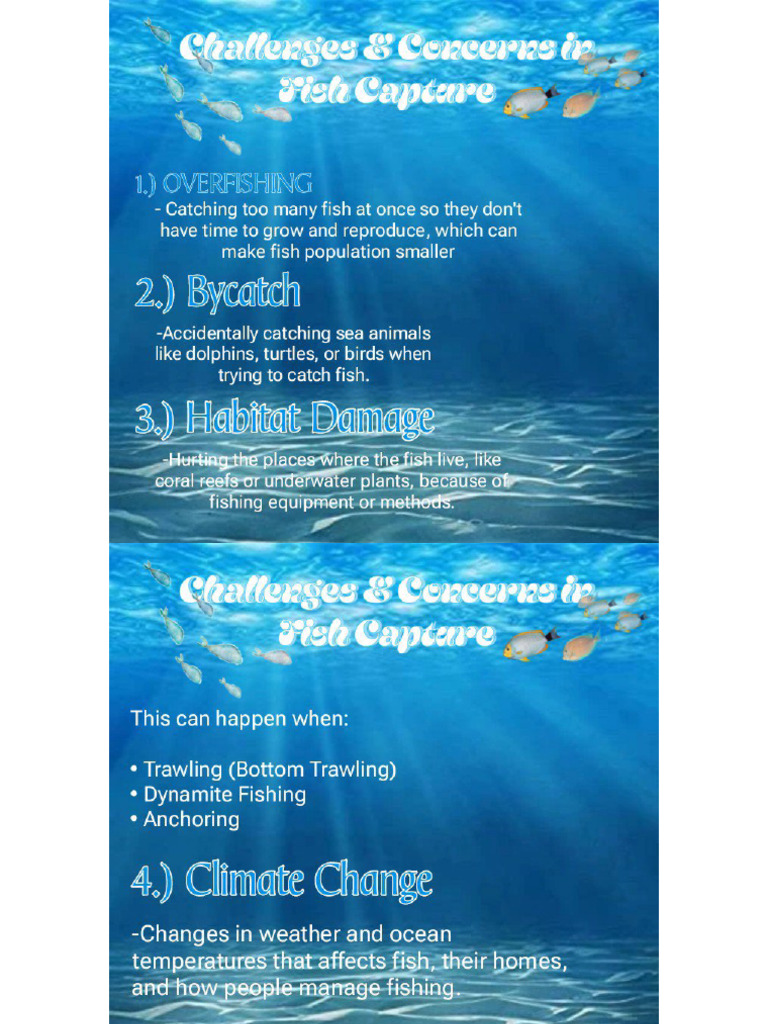 Challenges and Concerns in Fish Capture | PDF