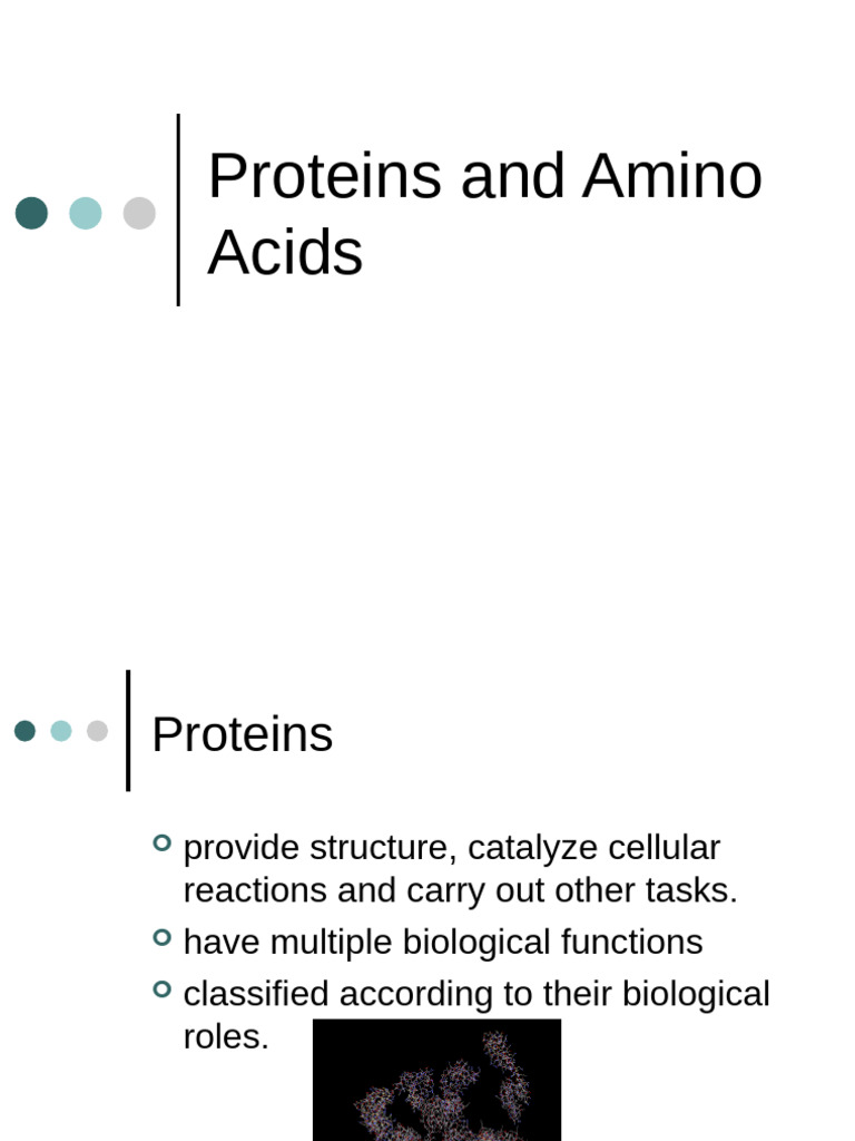Understanding Proteins and Amino Acids | PDF | Proteins | Amino Acid