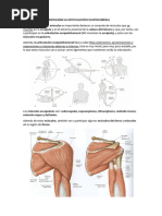 Región Axilar Resumen Prrre | PDF | Tórax | Anatomía humana