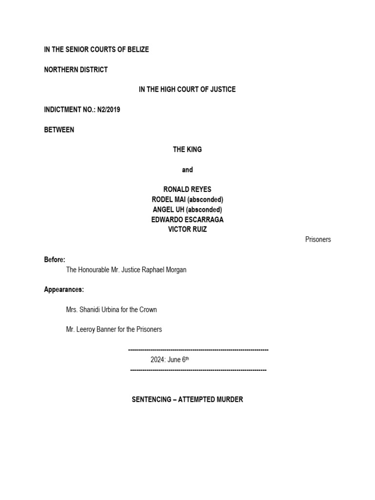 Indictment No N2 of 2019 The King V Rodel Mai Angel Uh Victor Ruiz and ...
